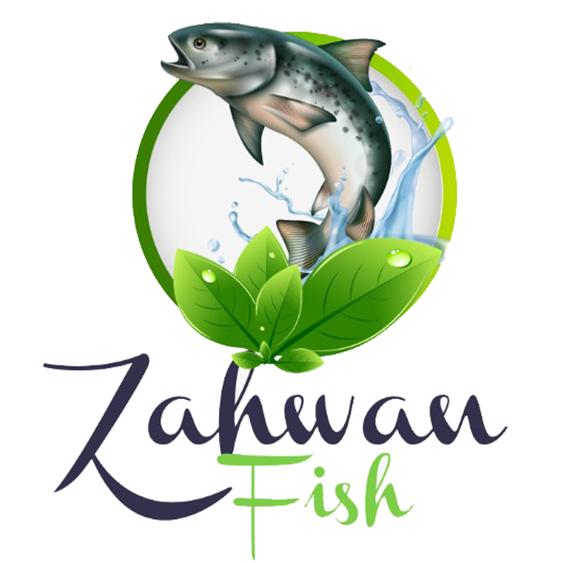 MSG – Msg developments