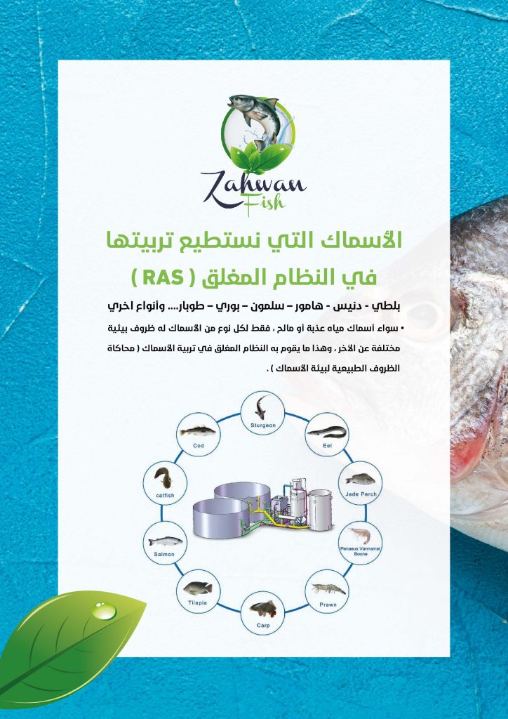 Zahwan Organic – MSG